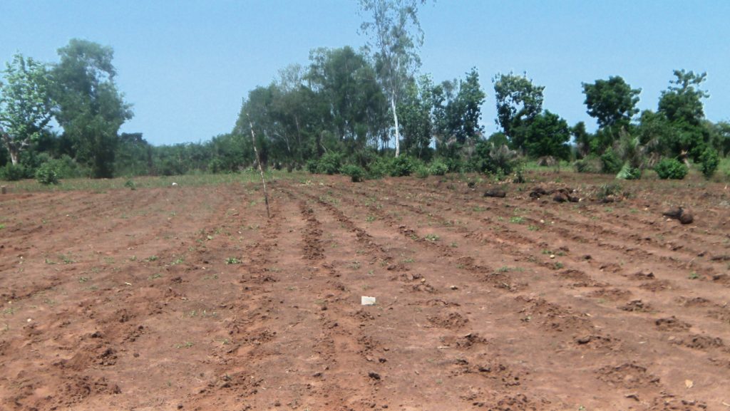 La protection des sols en réflexion au cours d’un atelier scientifique ...
